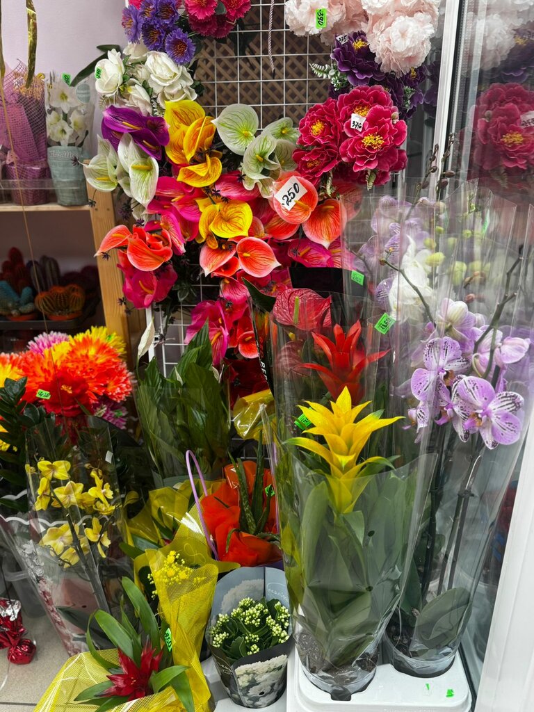 Çiçekçiler Verba, Bor, foto