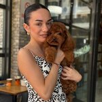 Patiboo Pet Kuaför Petshop (İstanbul, Beylikdüzü, Kavaklı Mah., Mehmet Akif Ersoy Cad., 17B), evcil hayvan kuaförleri  Beylikdüzü'nden