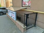 Kokusnkai (Shakhmatnaya Street No:2), spor kulüpleri  Kaliningrad'dan