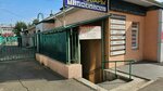 Мухтар (60 Let Obrazovaniya SSSR Avenue No:7Б), petshop  Krasnoyarsk'tan