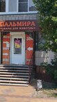 Пальмира (Pobedy Street No:3), petshop  Novovoronej'den