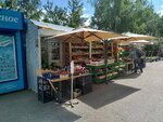 Фрукты и овощи (Tomsk, Zhilmassiv Quarter), manavlar  Tomsk'tan
