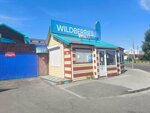 Wildberries (ulitsa Furmanova No:18В/2), teslimat noktası  Barnaul'dan