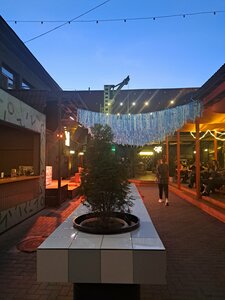 Dvor (Lyva Tolstogo Street No:34), restoran  Barnaul'dan