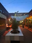 Dvor (Lyva Tolstogo Street No:34), restoran  Barnaul'dan