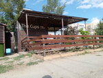 The Cups (prospekt Druzhby No:48Б), al götür kahve  Voljski'den