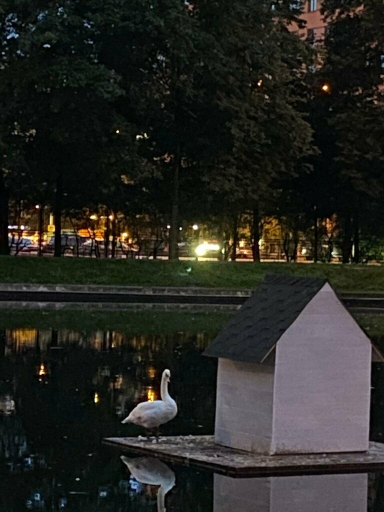 Orman Черкизовский парк, Moskova ve Moskovskaya oblastı, foto