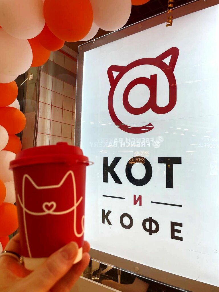 Al götür kahve Кот и кофе, Moskova, foto