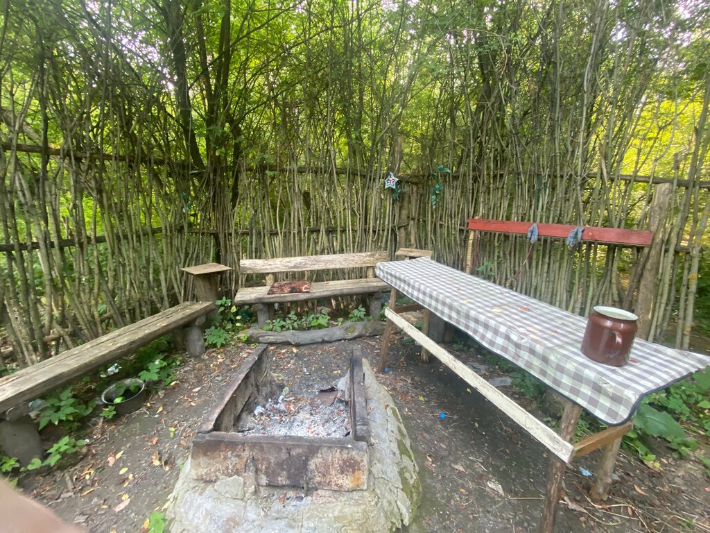 Piknik alanı У дяди Миши, Glazov, foto