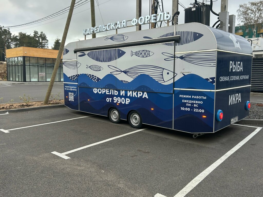 Balık ve deniz ürünleri Karel'skaja forel', Saint‑Petersburg ve Leningradskaya oblastı, foto