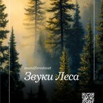 Soundforest (Glazkova Street No:12), çiçekçiler  Volgograd'dan