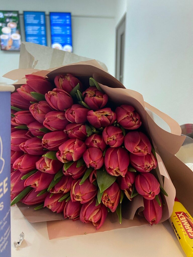 Çiçekçiler Элгарден, Moskova, foto