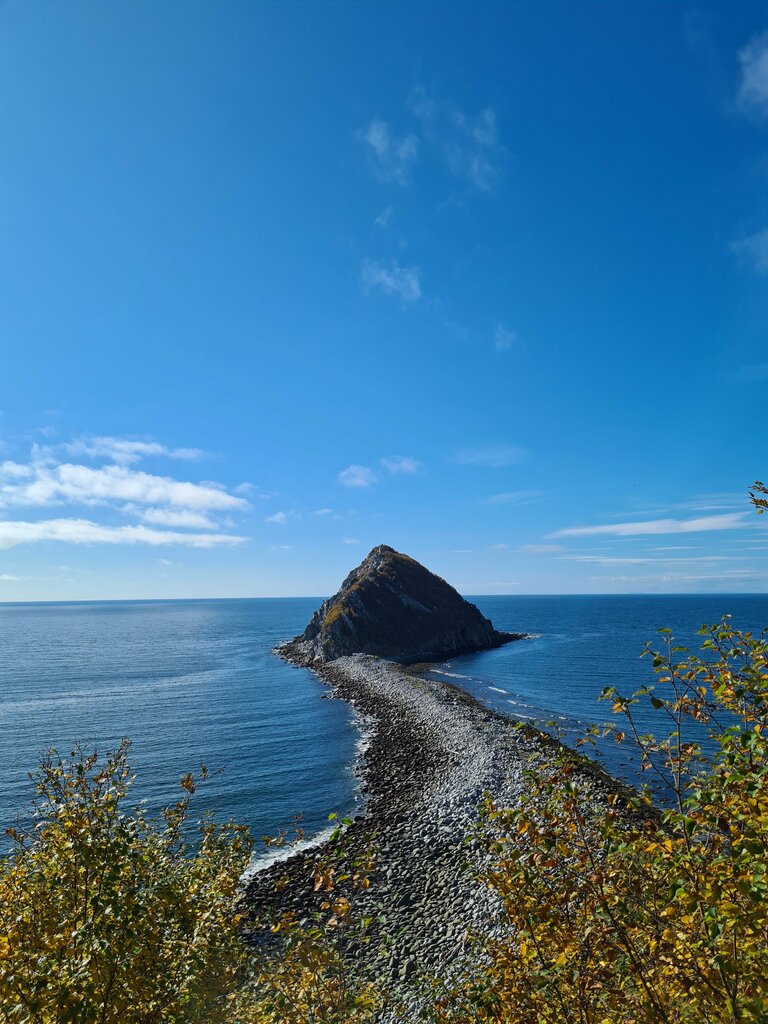 Turizm acenteleri Колымские медведи, Magadan, foto