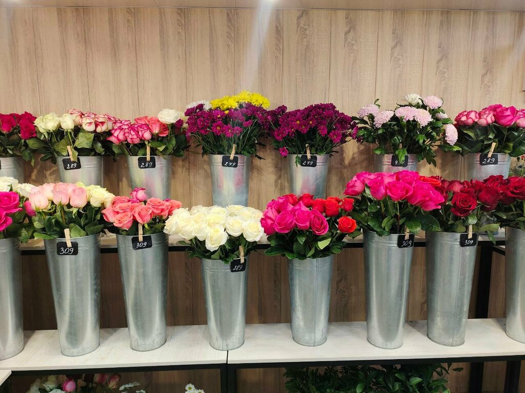 Çiçekçiler Дом Цветков, Altayski krayı, foto