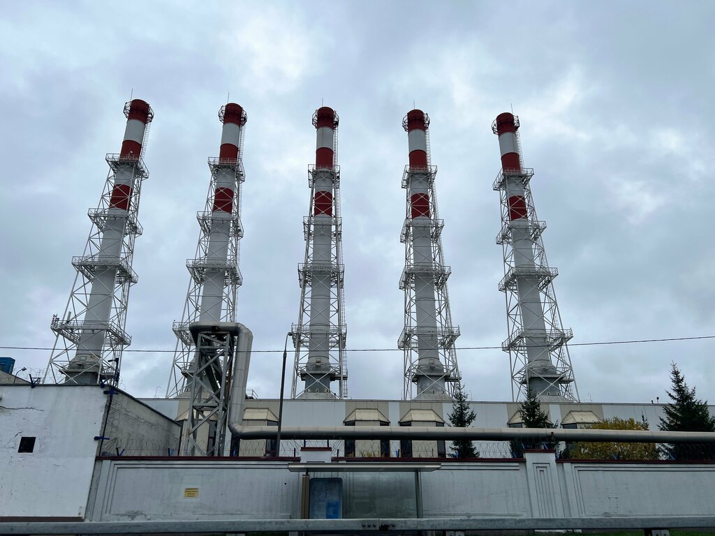 Petshop Интернет-магазин одежды для собак Asiadogs.ru, Moskova, foto