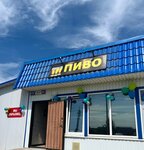 Пиво (ulitsa Karla Libknekhta No:49Г), bira dükkanı  Medyn'den