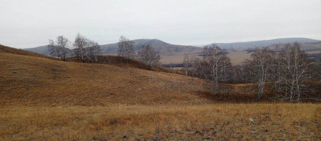 Dağ zirvesi Гора Калкантау, Başkurdistan, foto