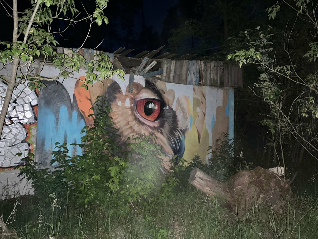 Unutulmaz olayların yeri Детский лагерь, Moskova ve Moskovskaya oblastı, foto