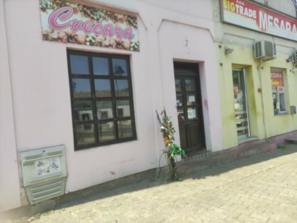Çiçekçiler Цвејић, Güney Backa İlçesi, foto
