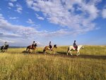Сельский туризм (Sovetskaya ulitsa No:22, selo Tornovoye), at ve binicilik kulüpleri  Samarskaya oblastından