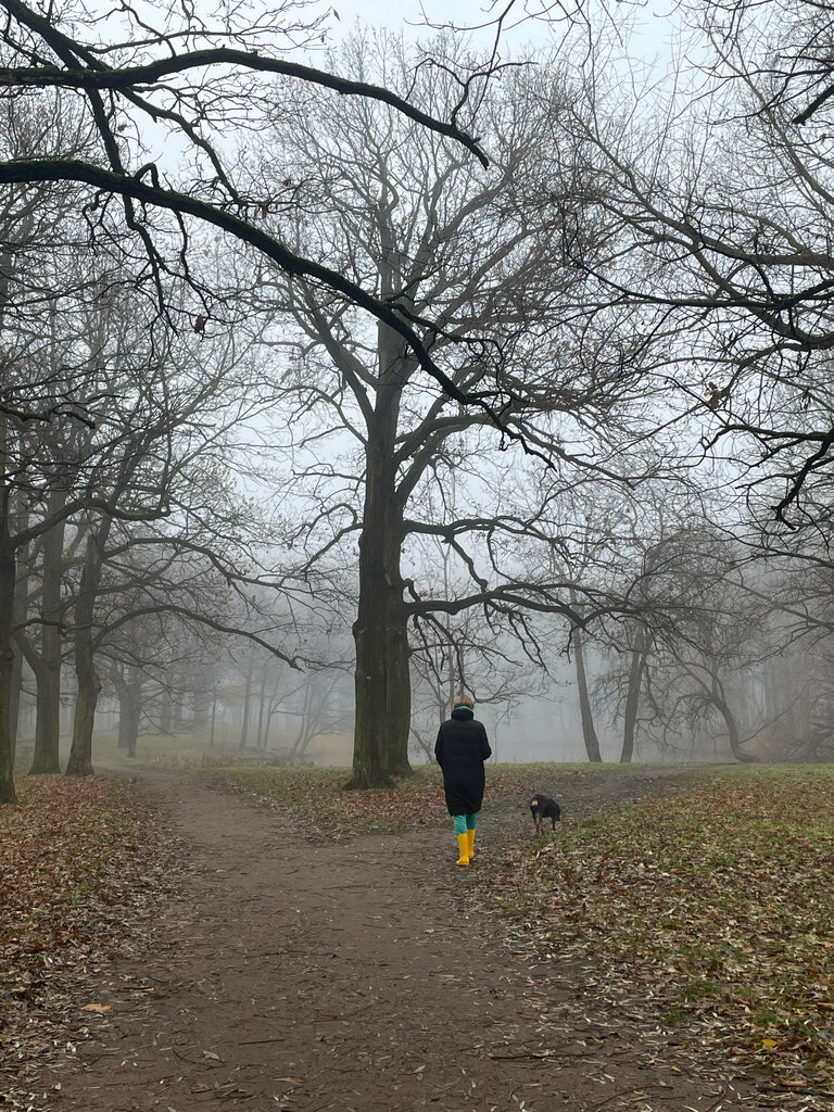 Turistik yerler Дача Эдсволт Литания, Saint‑Petersburg, foto