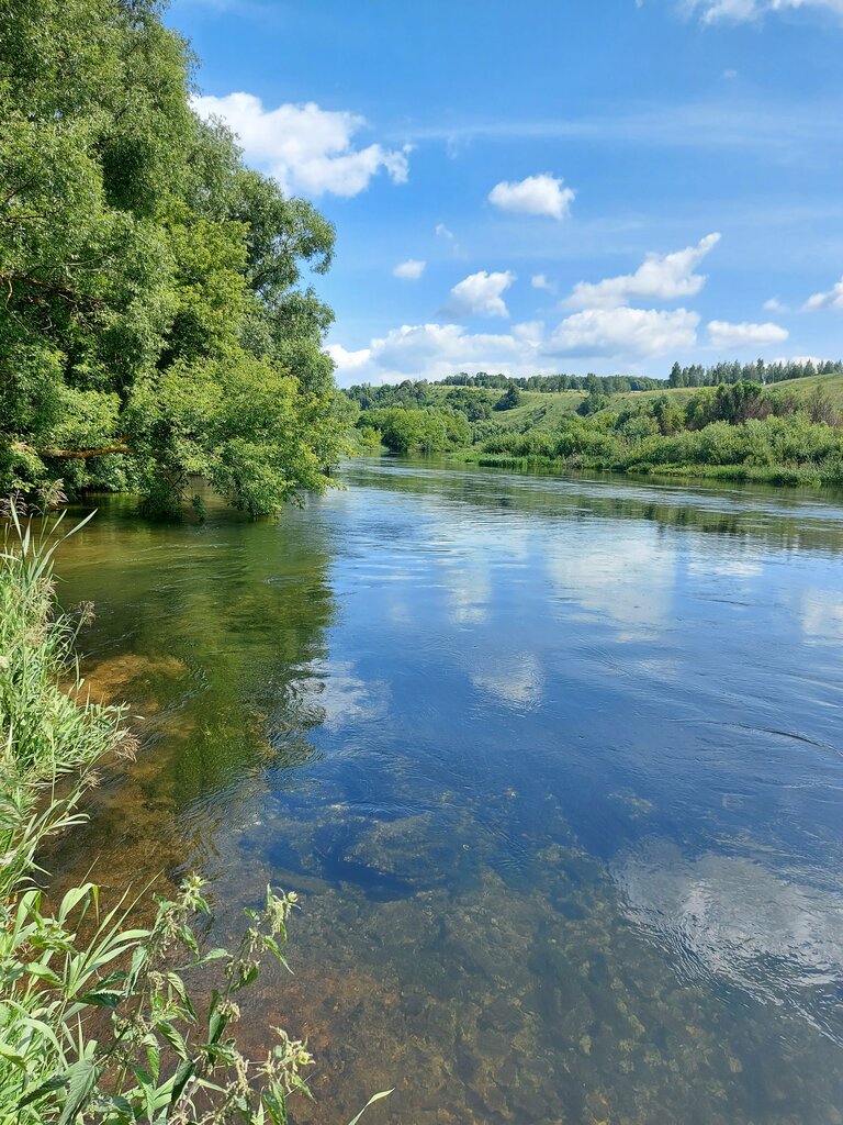 Plaj Пляж, Lipetskaya oblastı, foto