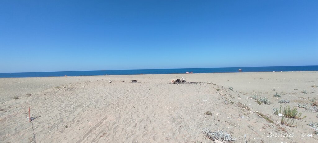 Kamp alanları Yalıköy Kamp Alanı, Çatalca, foto