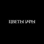 Цветы Уфы (50 Let SSSR Street No:39/2), çiçekçiler  Ufa'dan