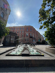Фонтан Мостик (Bolshaya Moskovskaya Street No:6соор1Ф), çeşme  Saint‑Petersburg'dan