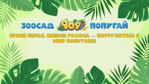 101 Parrots (Moscow, Pererva Street, 39), zoo  Moskova'dan