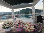 Butteryfly Florist Göcek (Muğla, Fethiye, Göcek Mah., Çarşı Yolu Cad., 31A), çiçekçiler  Fethiye'den