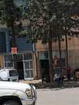 Hentsia mesaria (Addis Ababa, Nifas Silk-Lafto, Kebele 49), yapı mağazası  Addis Ababa'dan