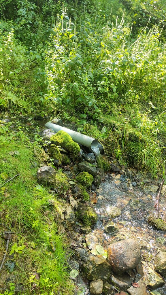 Pınar, çay Spring, stream, Tverskaya oblastı, foto