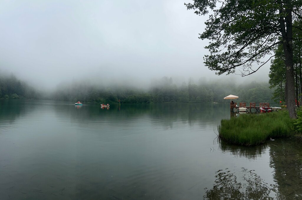 Kültür ve eğlence parkları Borçka Karagöl Kamp Alanı, Borçka, foto