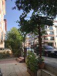 Buse koltuk döşeme (Ankara, Çankaya, Şehit Cevdet Özdemir Mah., Şeftali Cad., 19A), mobilya tamir, tadilat  Ankara'dan