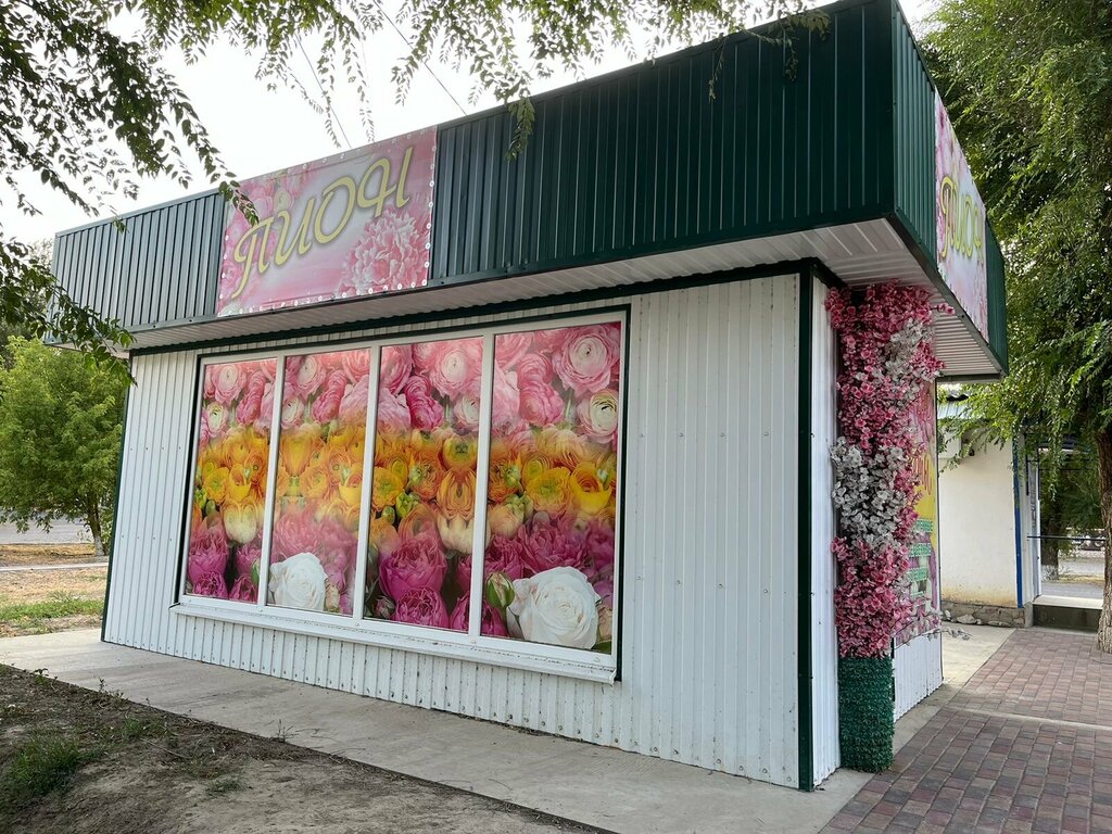 Çiçekçiler Пион, Stavropolski krayı, foto