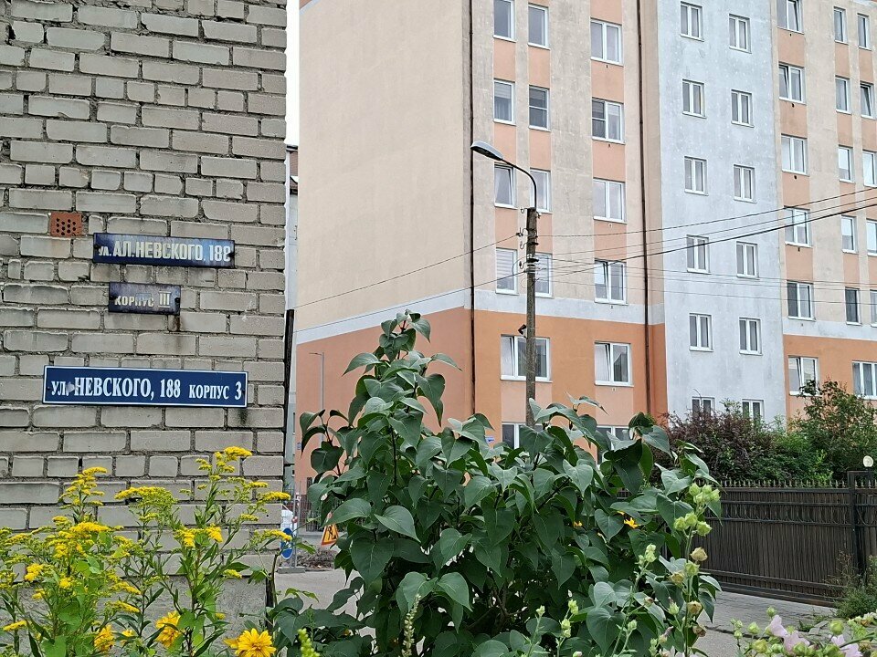 ATM'ler Sberbank, Kaliningrad, foto