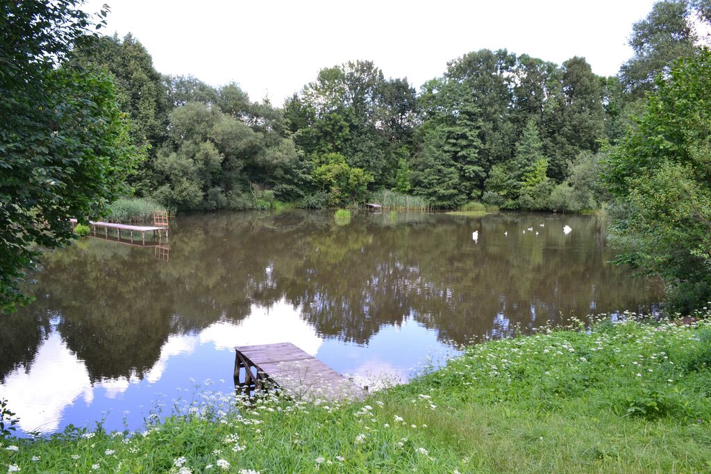 Resort oteller, tesisler Эко дом, Minskaya oblastı, foto