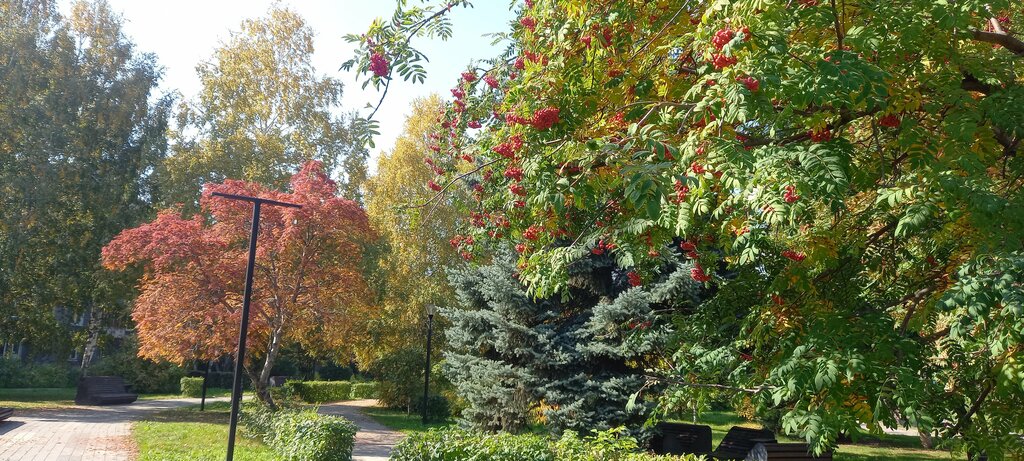 Meydan Сквер Воробьева, Novokuznetsk, foto