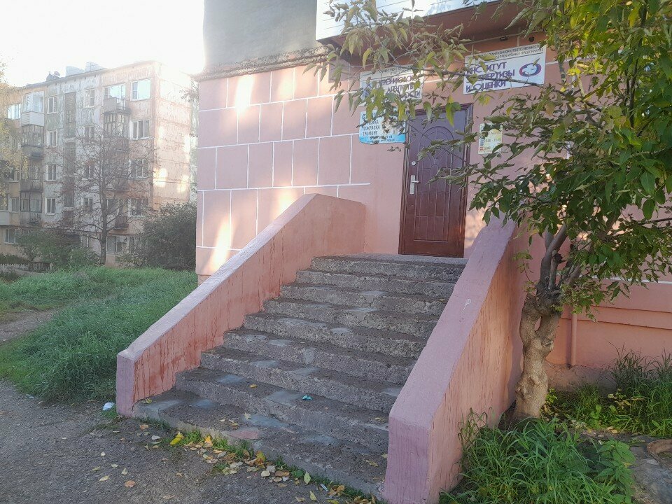 Evcil hayvan kuaförleri Стрижка собак, Berezniki, foto