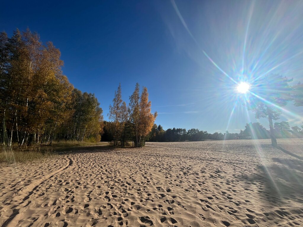 Plaj Пляж, Sestroretsk, foto