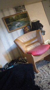 Tiger food (Lomov kóshesі No:58), fast food  Pavlodar'dan