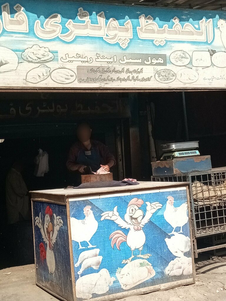 Kanatlı hayvan ürünleri ve yumurta Al hafeez poultry farm, Karaçi, foto