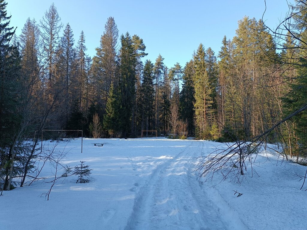 Spor alanı Футбольное поле, Saint‑Petersburg ve Leningradskaya oblastı, foto