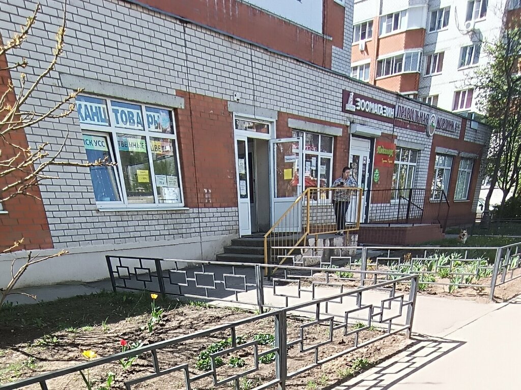 Ayakkabı mağazaları Магазин обуви и одежды, Voronej, foto