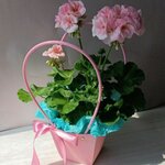 Flowers Balloons (Musorgskogo Street No:5к1), çiçekçiler  Moskova'dan