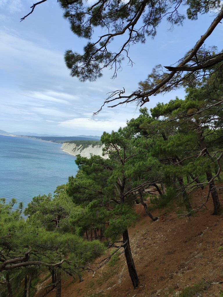 Otel Дачный домик под ключ Прасковеевке, Krasnodarski krayı, foto