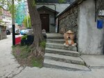 Vvo Dance Brazil (Arseneva Street No:4Б), dans okulları  Vladivostok'tan