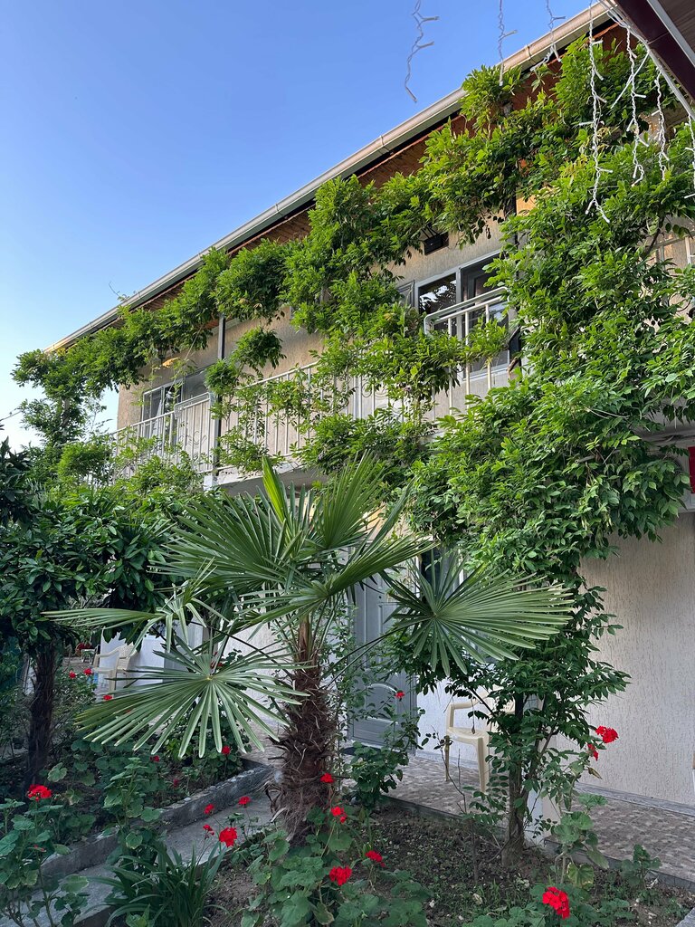 Konuk evi Kiwi Guest House, Gagra Bölgesi, foto