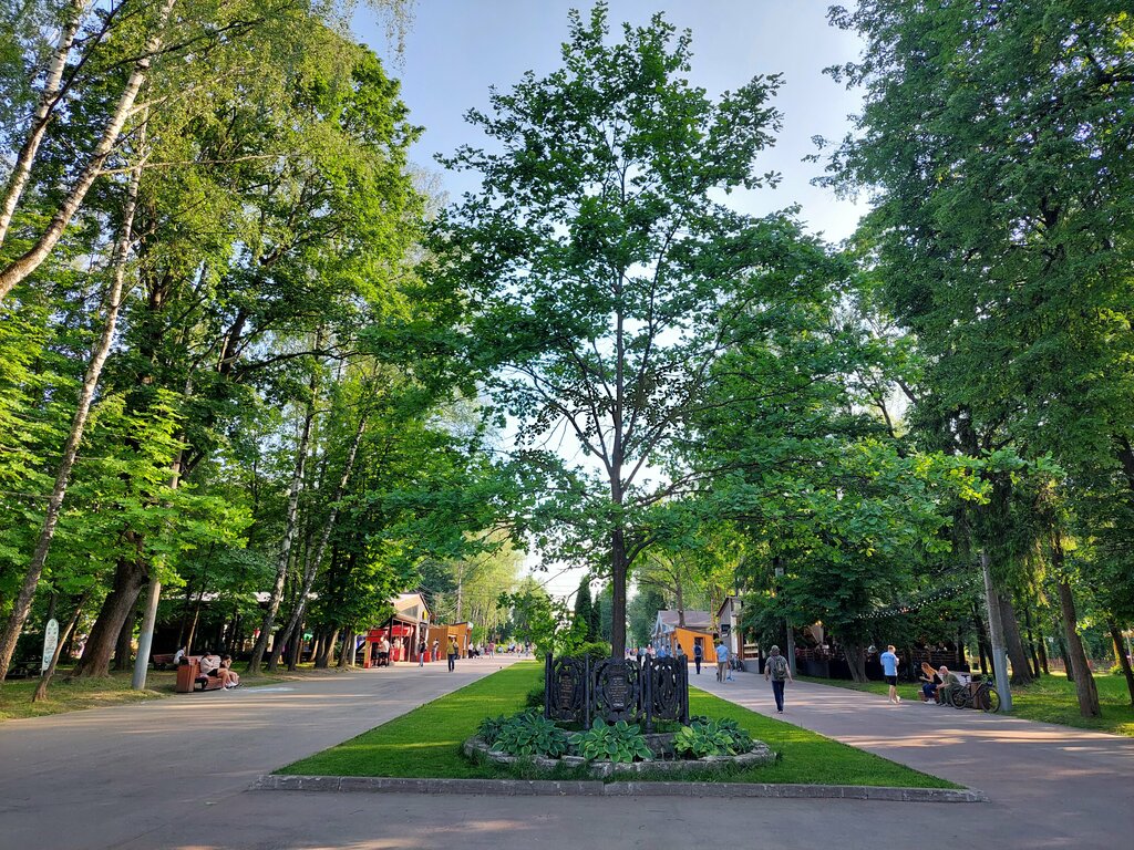 Dekorasyon ve süsleme, onur panosu Дуб в честь 200 летия со дня рождения А. С. Пушкина, Tula, foto